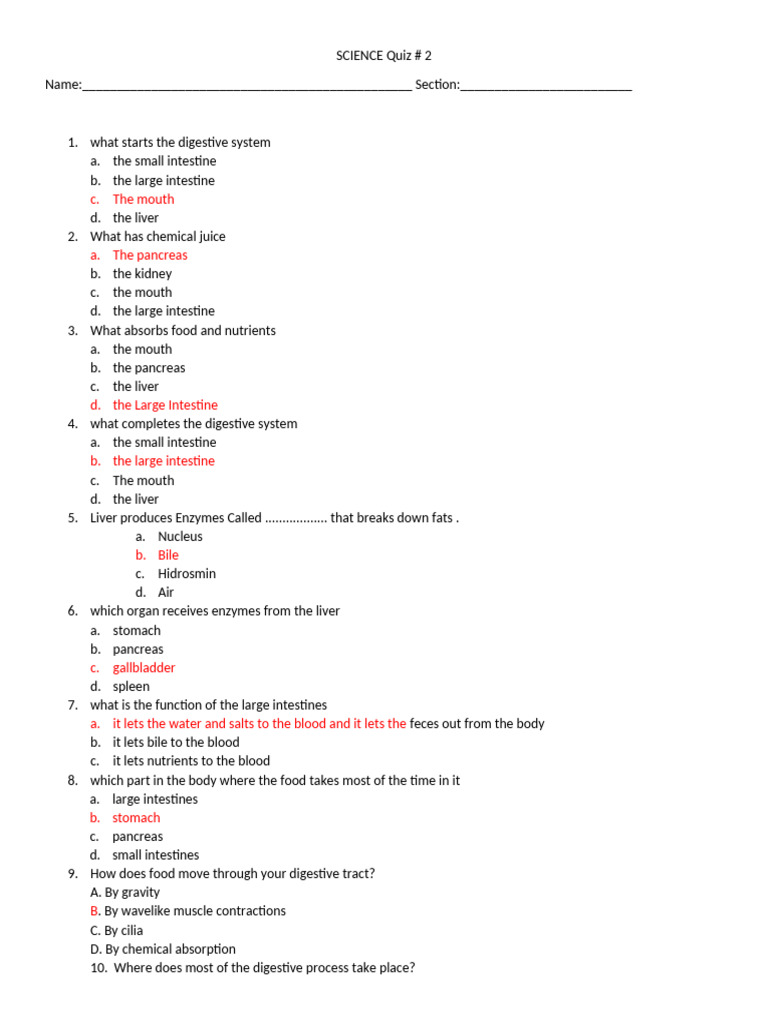 SCIENCE Quiz Digestive System | PDF