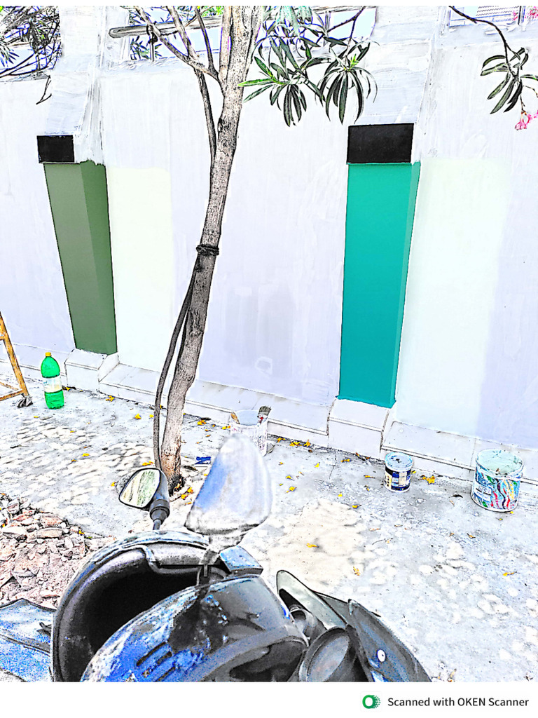 House Colour | PDF