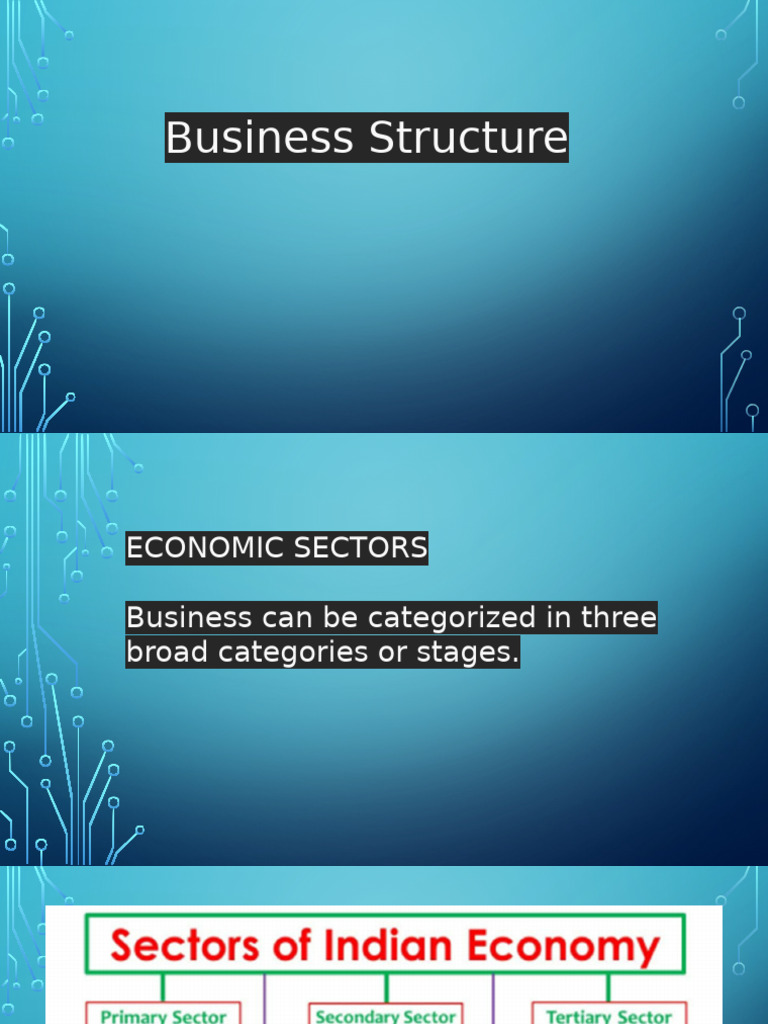 Business structure | PDF | Partnership | Franchising