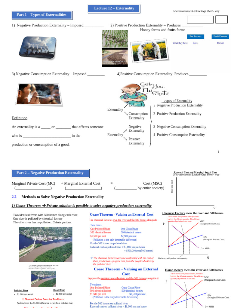 Lecture 12 Gap Sheet | PDF | Externality | Market (Economics)