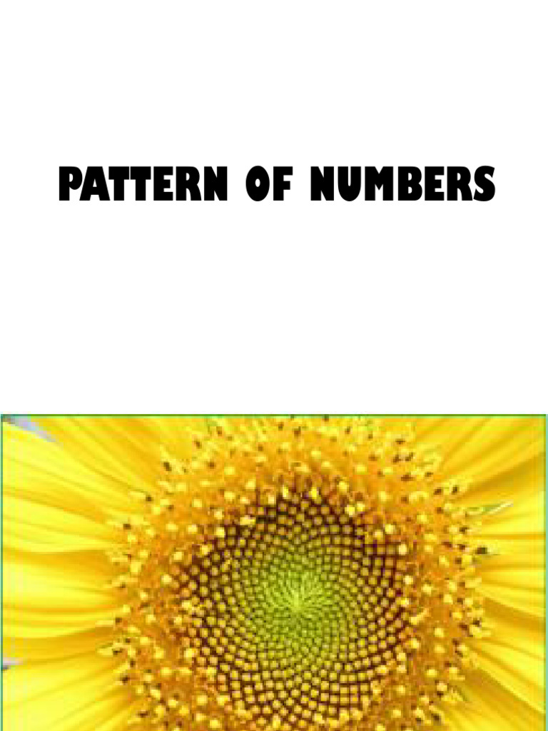 Term-to-Term Rule Worksheet | PDF