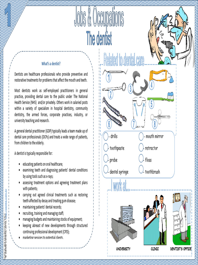Understanding Dentists' Roles and Duties | PDF | Dentistry | Dentist