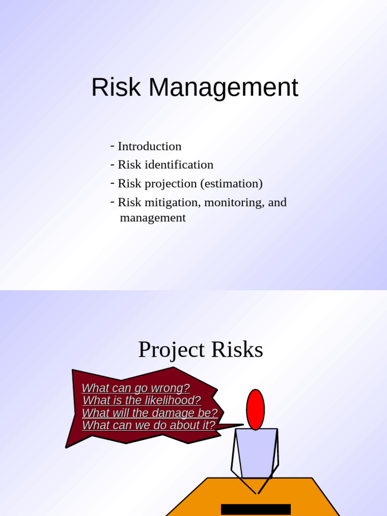 Risk Management Reference - Main | PDF | Risk | Risk Management