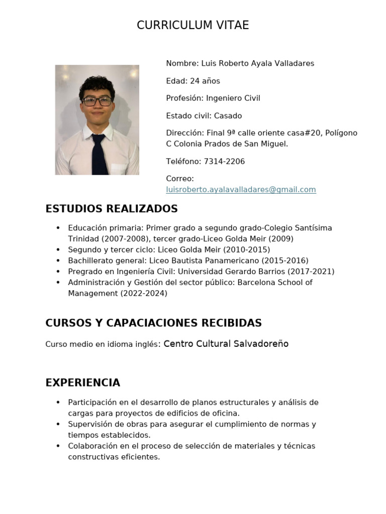 CURRICULUM VITAE Luis Ayala | PDF