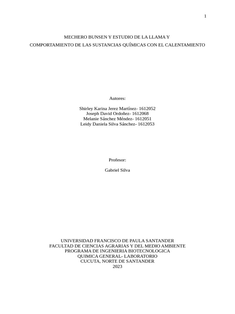 Mechero Bunsen: Estudio de la Llama y Sustancias | PDF | Derritiendo ...