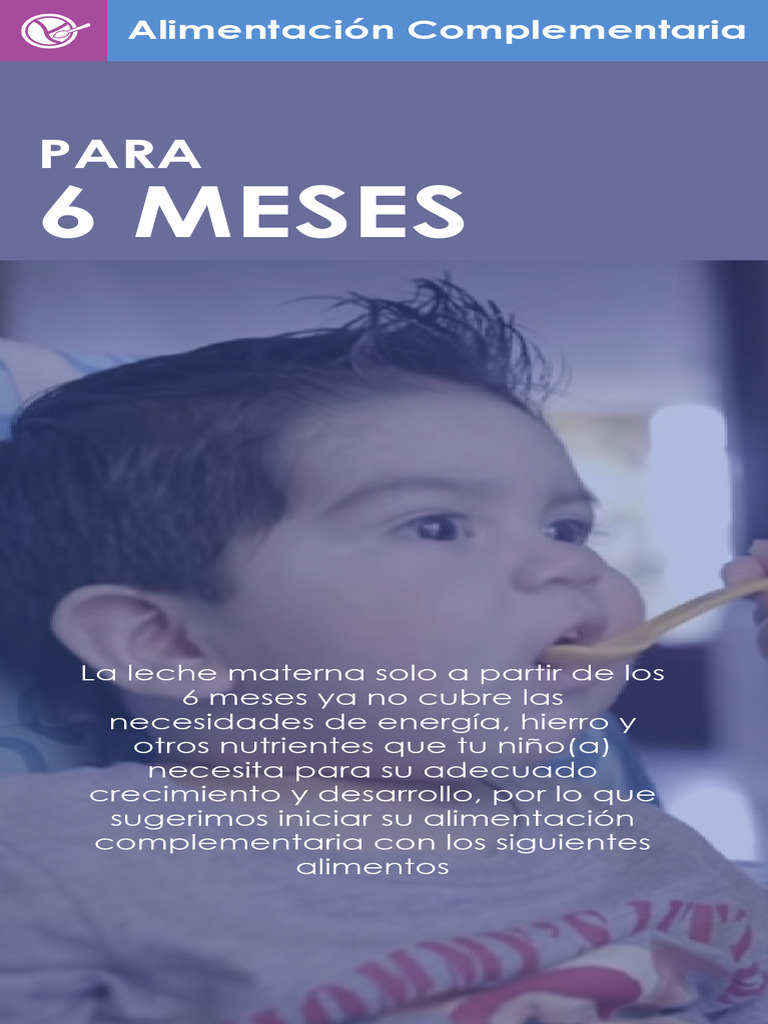 Alimentacion Complementaria 6 Meses | PDF | Alimentos | La leche materna