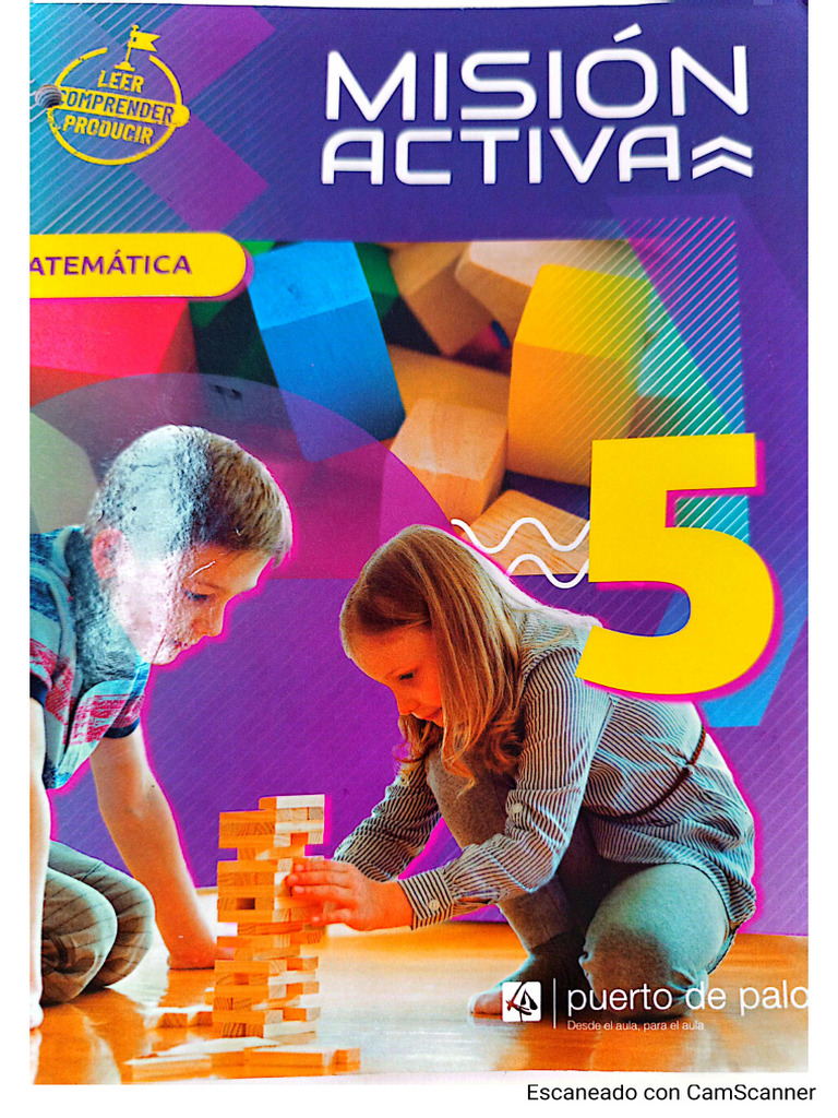 Matemática Misión Activa 5 Puerto de Palo | PDF