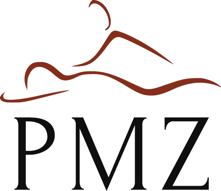 PMZ Logo | PDF