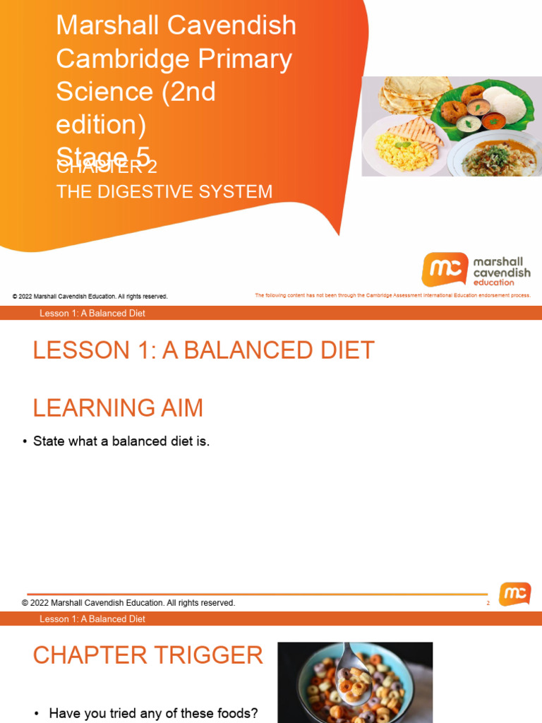 Digestive System and Balanced Diet Guide | PDF | Healthy Diet | Diet ...