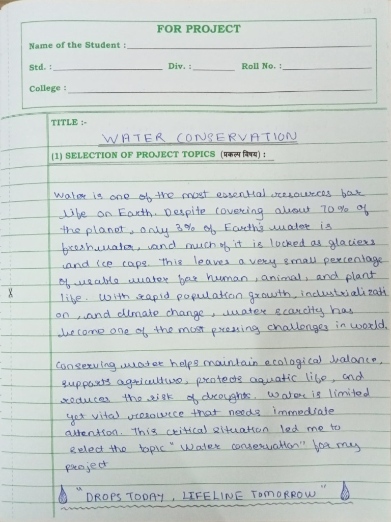 Class 12 EVS Project Guidelines | PDF