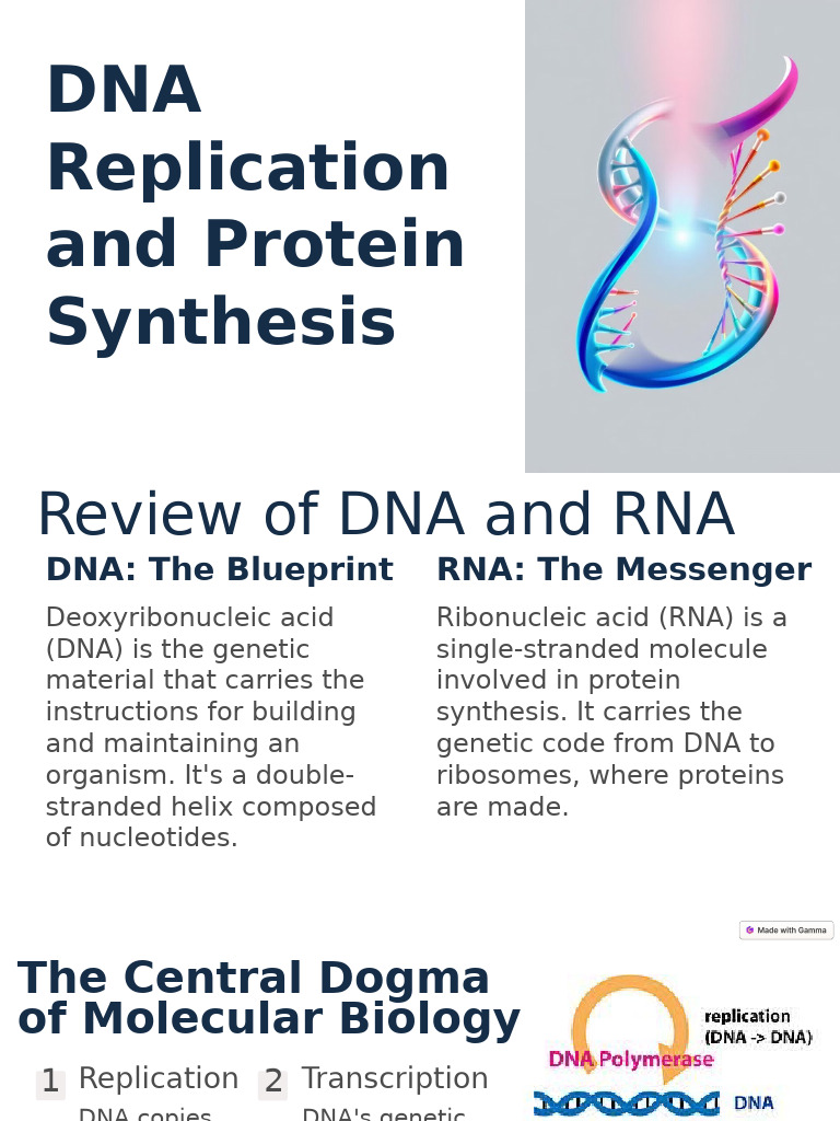 DNA Replication and Protein Synthesis The Machinery of Life | PDF ...