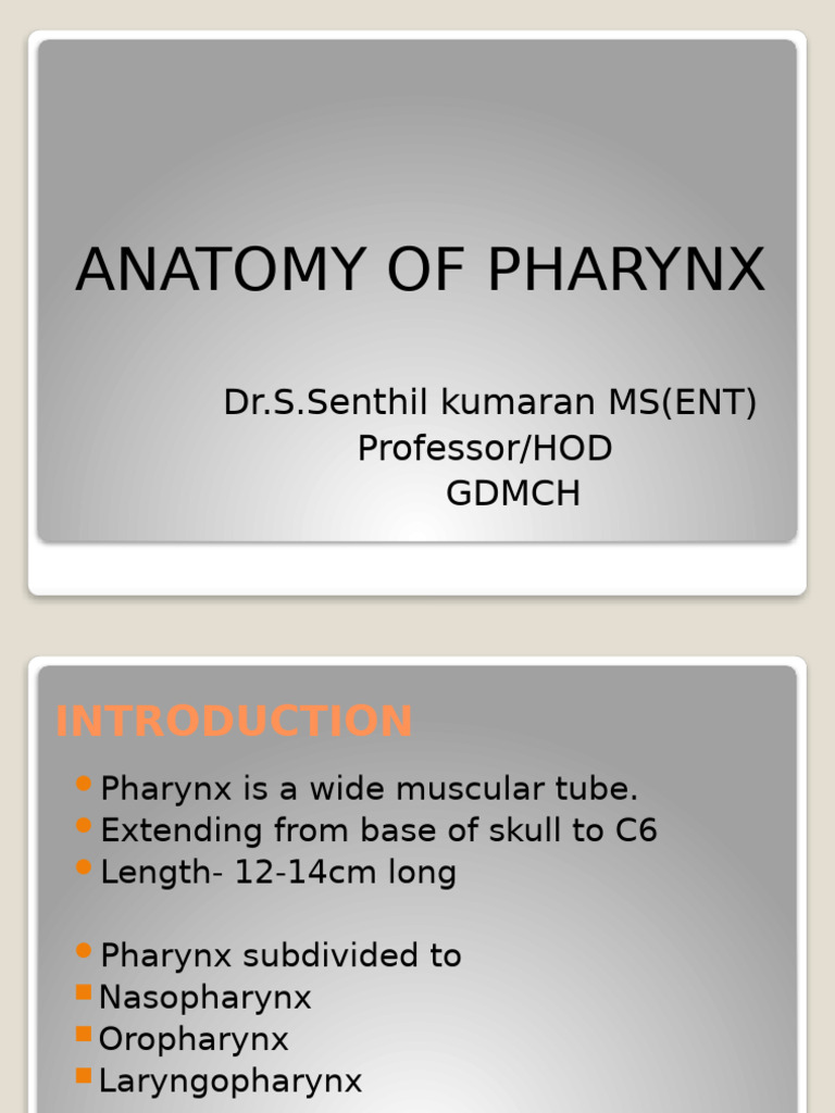 Anatomy of Pharynx | PDF