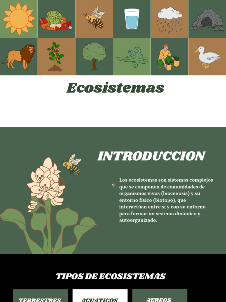 ECOSISTEMAS | PDF | Ecosistema | Entorno natural