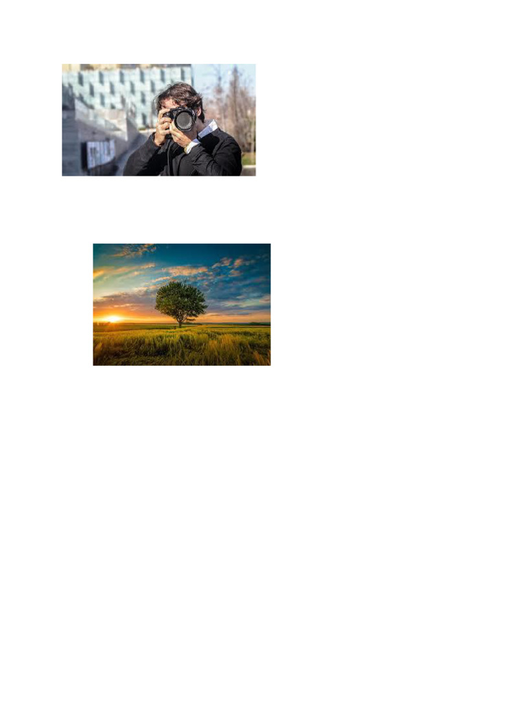 Document 3 - Scribd | PDF