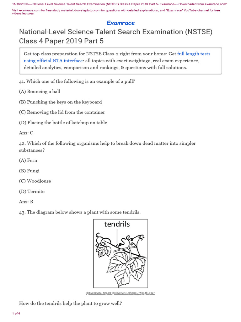 NSTSE-Class-4-Paper-2019-Part-5 | PDF | Foods | Vitamin