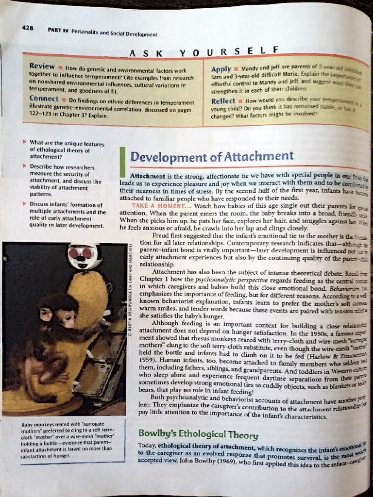 CD Temp, Attachment | PDF | Attachment Theory | Infants