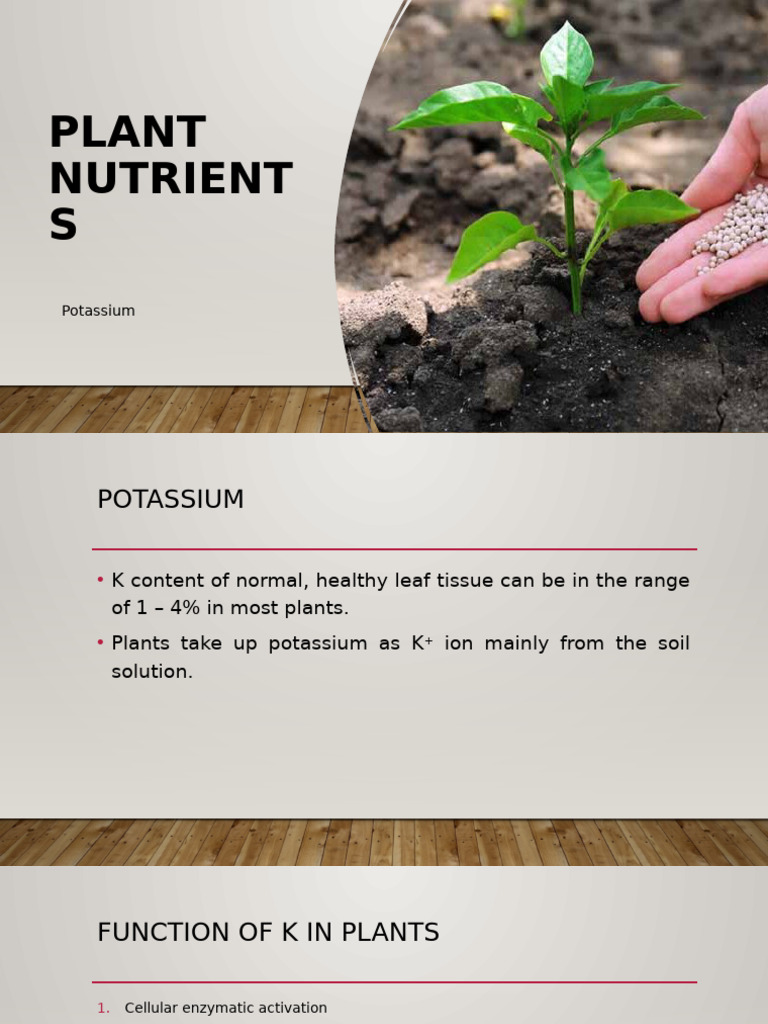 Plant-Nutrients Potassium | PDF | Soil | Potassium Chloride