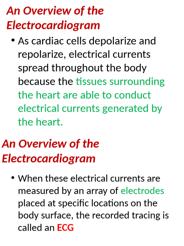 Ecg | PDF | Electrocardiography | Heart