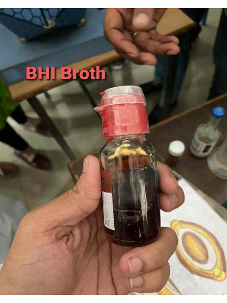 Microbiology Practical | PDF