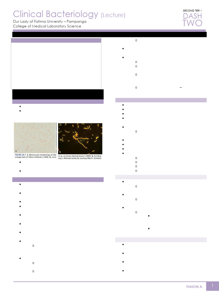 Bacte Lec Finals | PDF | Cholera | Bacteria