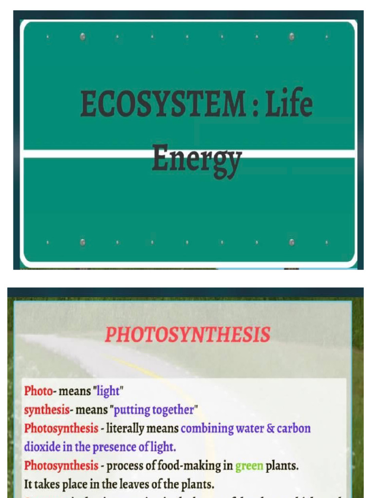 Grade 9 Ecosystem | PDF