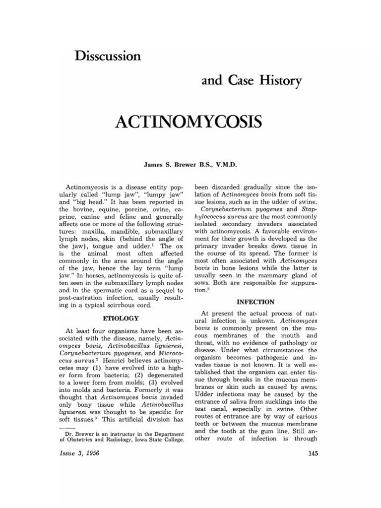 Actinomycosis Explanation | PDF