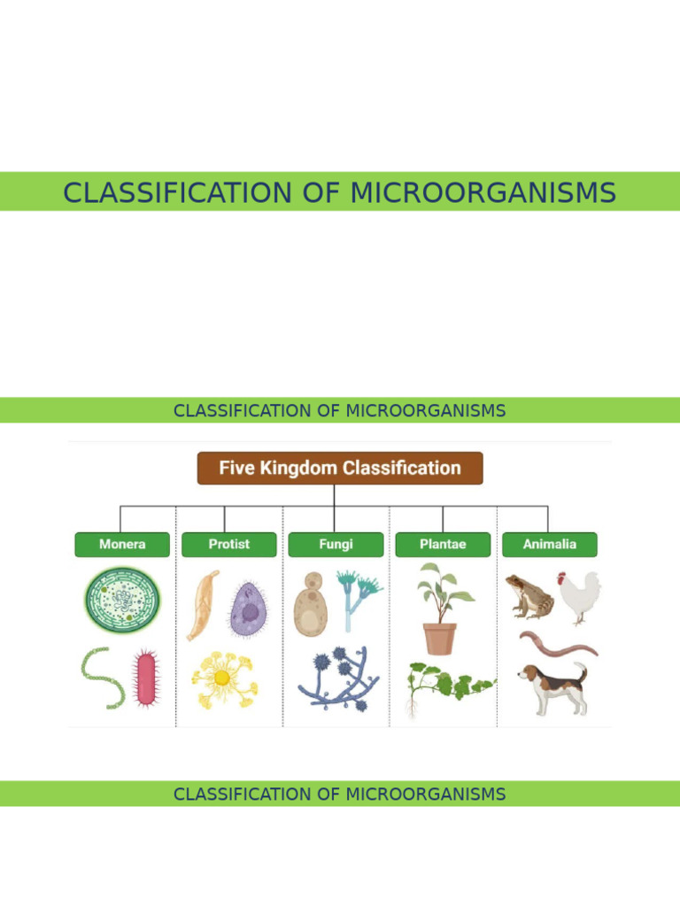 Classification of Microorganisms | PDF | Virus | Bacteria