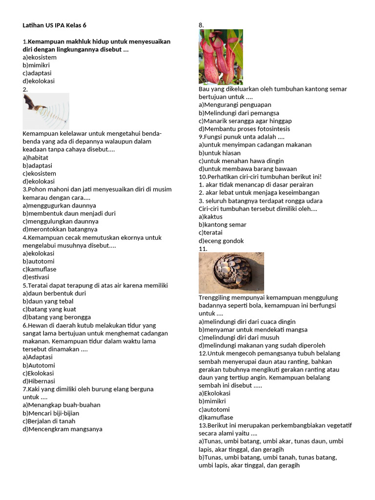 Latihan UAS IPA Kelas 6 | PDF