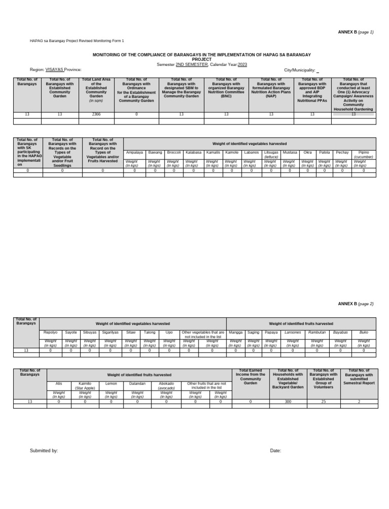 Barangay Hapag Monitoring Form | PDF | Plants | Vegetables