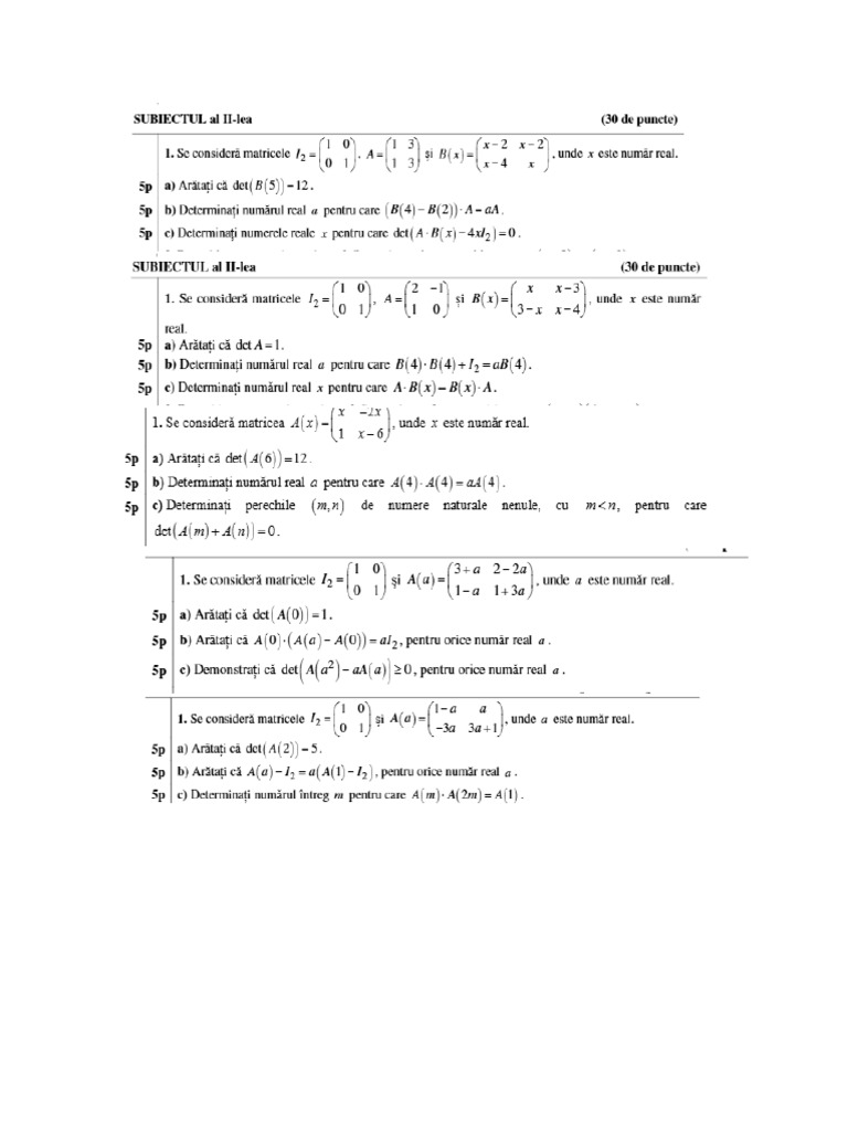 Probleme Matrici | PDF