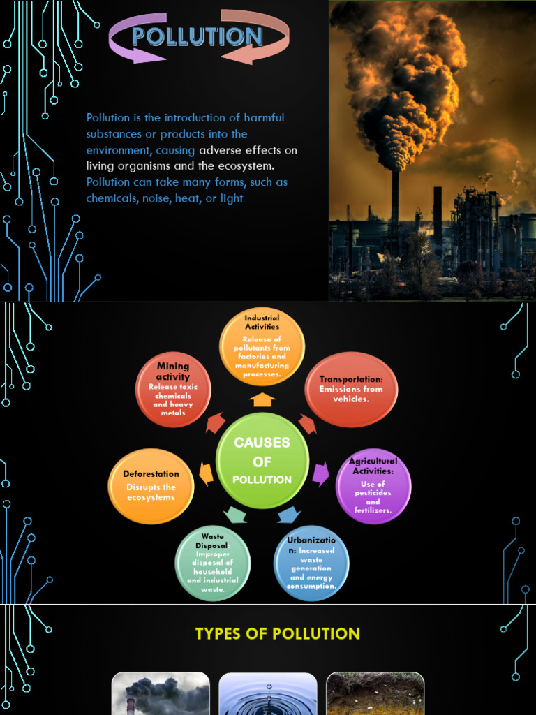 Pollution Assignment Sem 1 | PDF | Pollution | Climate Change