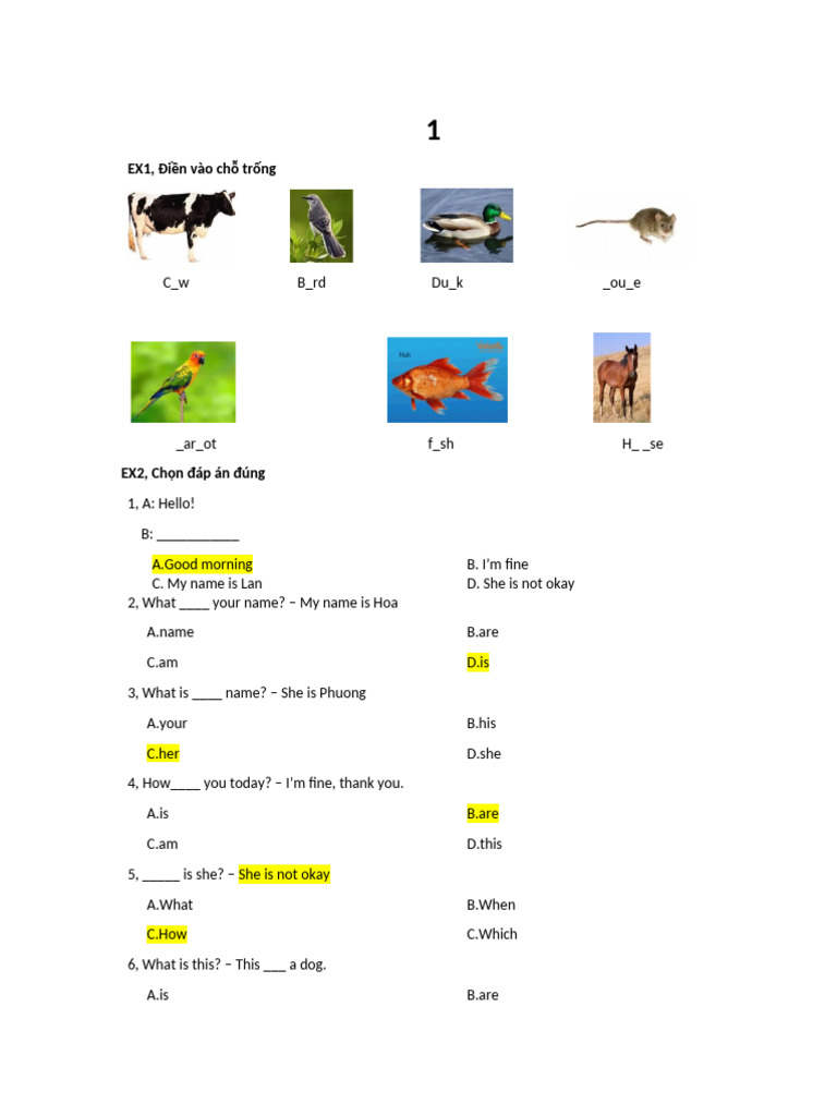 Exercises for "There Is/Are" Usage | PDF