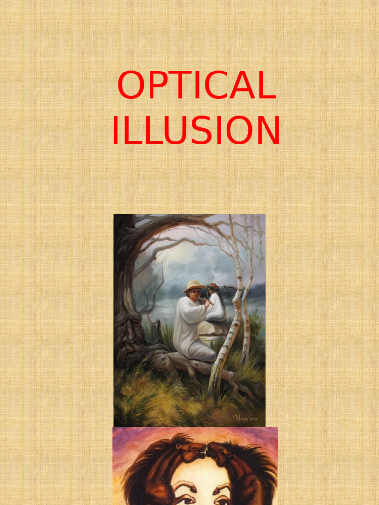 Optical Illusion | PDF