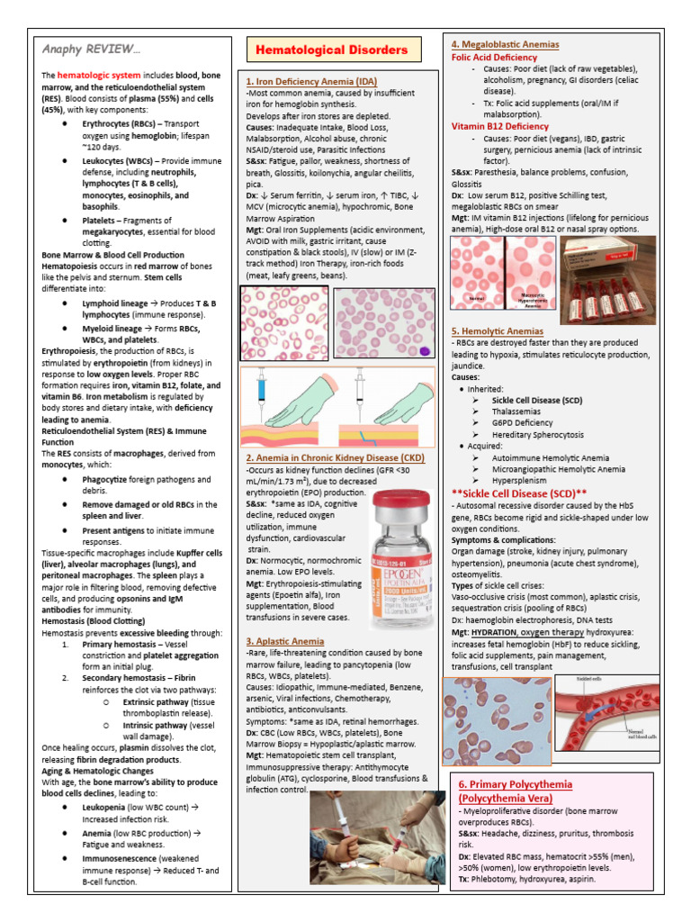 Hematological 20 Disorders | PDF | Anemia | Vitamin B12