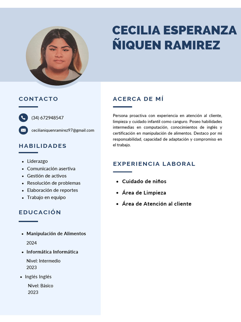 Currículum Vitae CV Cecilia 2 | PDF