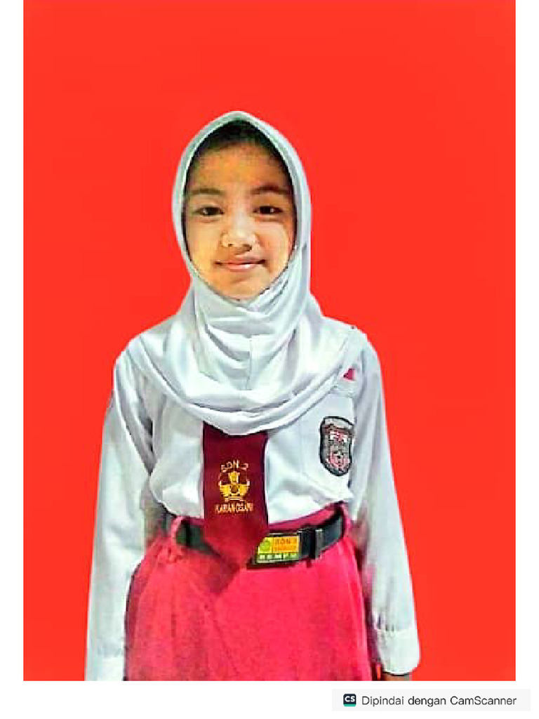 Aqira Fayyola Nadifa | PDF