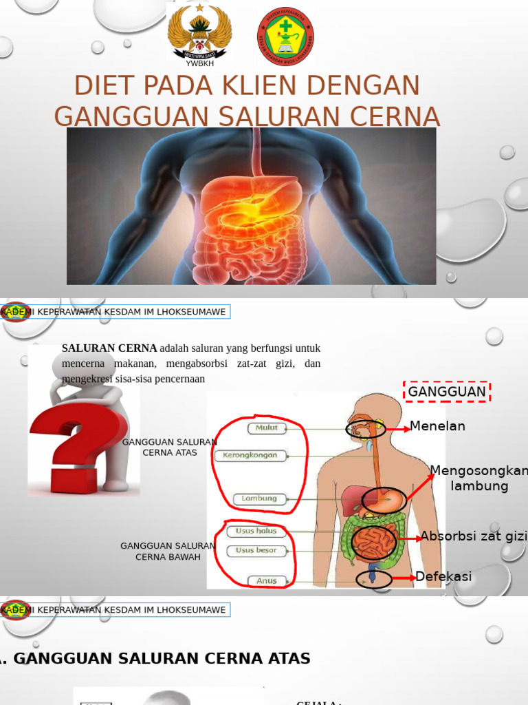 Presentation Diet gangguan saluran cerna | PDF