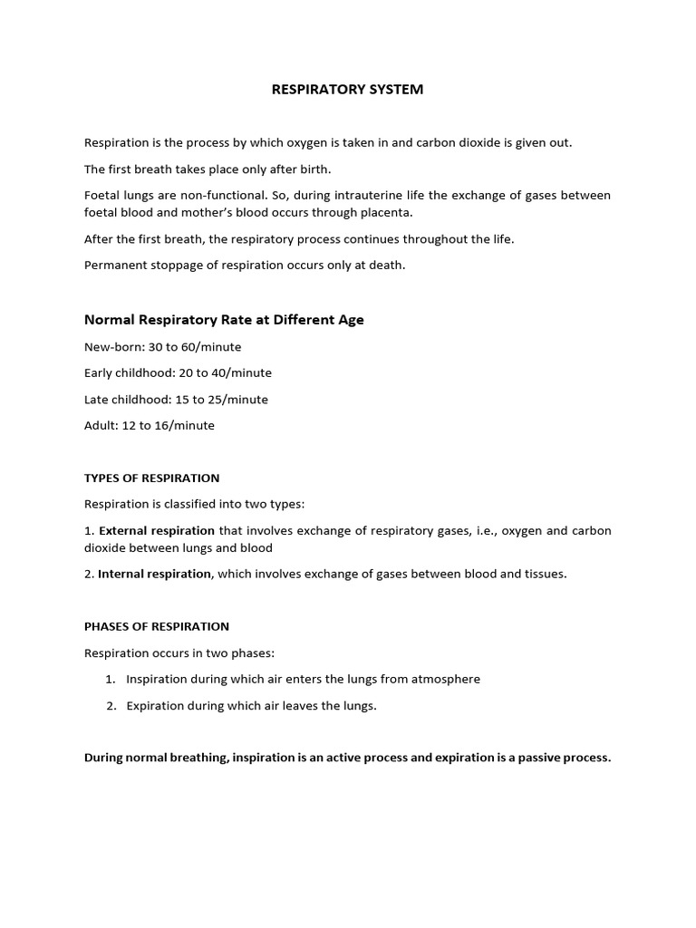 Respiratory System 1 Pdf Respiratory Tract Lung