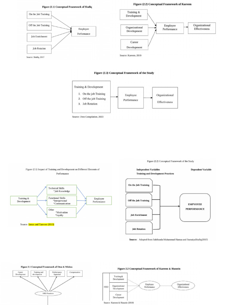 Conceptual Framwork | PDF