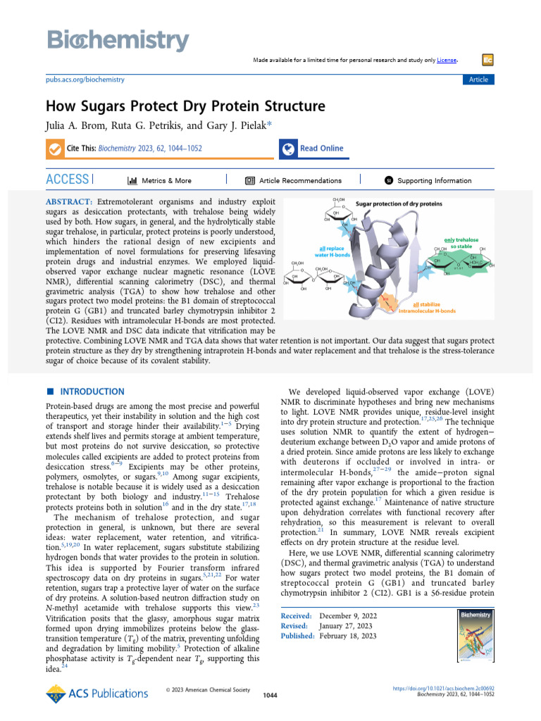 2023- How sugars protect dry protein structure - Biochemistry 2023, 62 ...