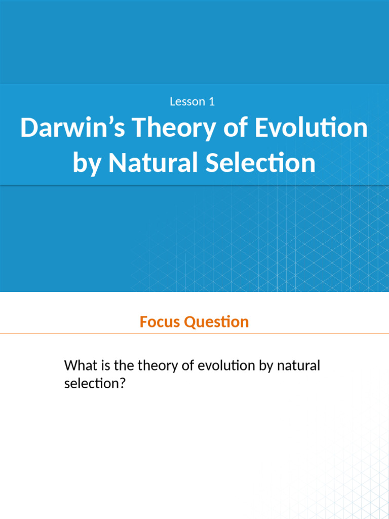 Lesson 1 Darwins Theory of Evolution by Natural Selection | PDF | Natural Selection | Evolution