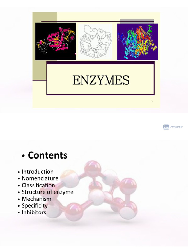 Enzymes Final PPT - PPTX - 20250214 - 124657 - 0000 | PDF