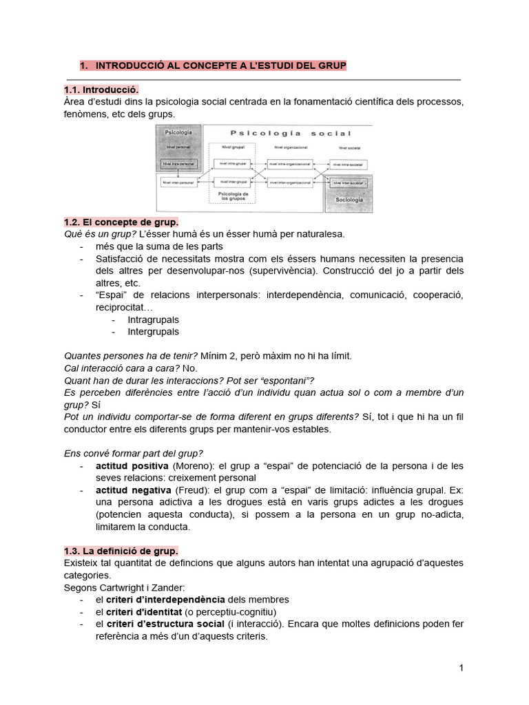 Apunts (psico de grups) | PDF