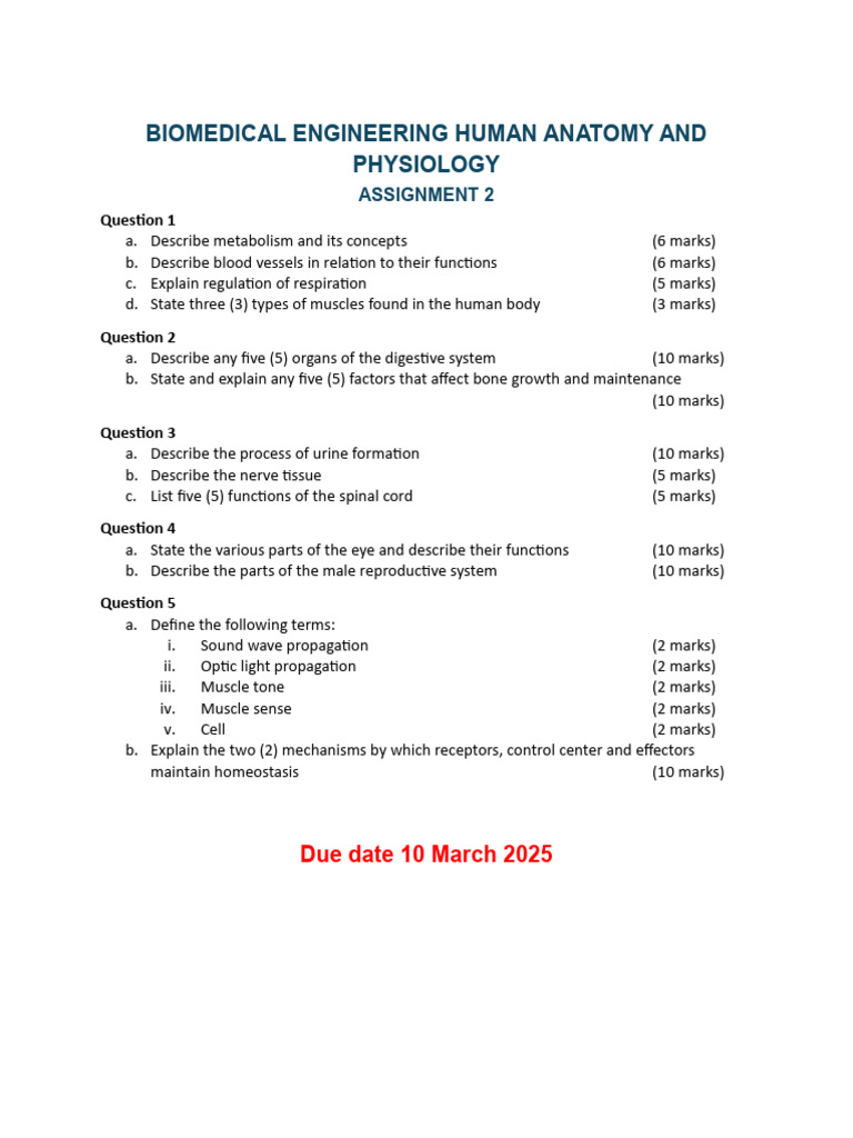 Anatomy and Physiology Assignment 2 | PDF