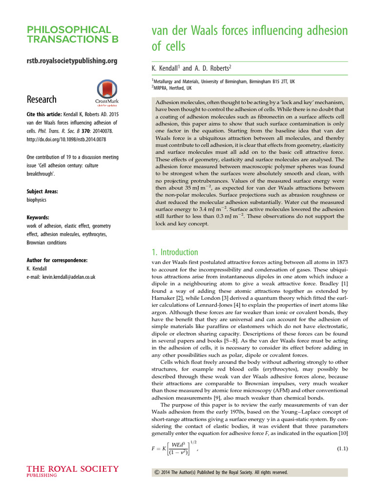 Kendall Et Al 2015 Van Der Waals Forces Influencing Adhesion of Cells | PDF | Adhesion ...