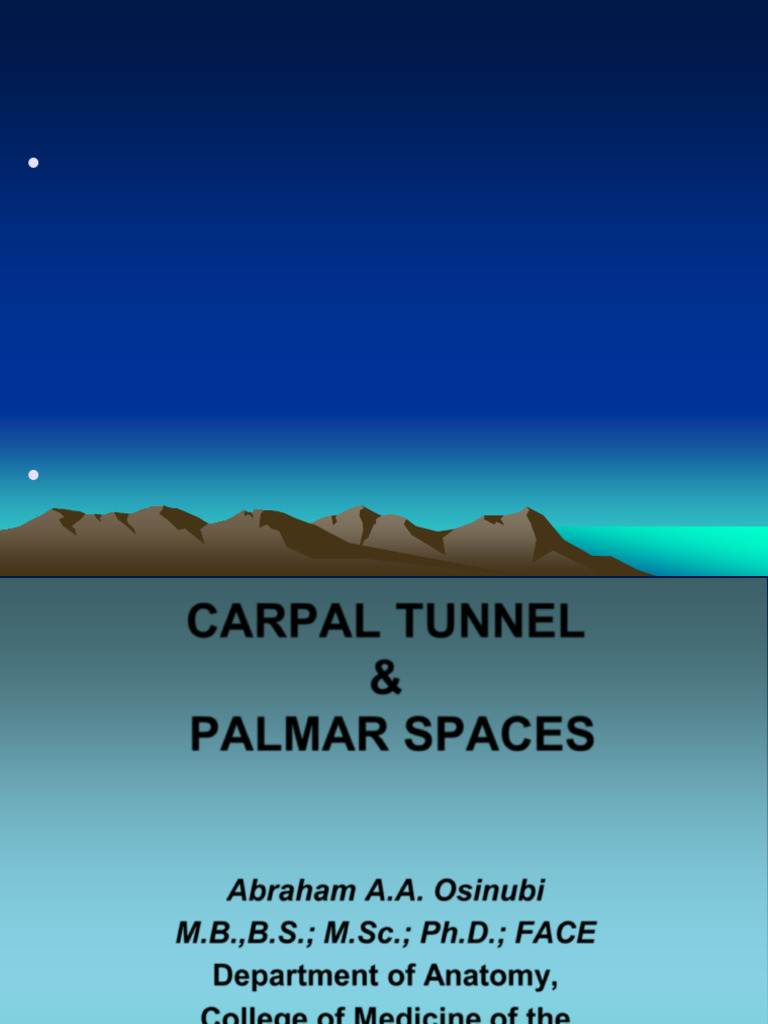 Carpal Tunnel & Palmar Spaces | PDF | Hand | Carpal Tunnel Syndrome