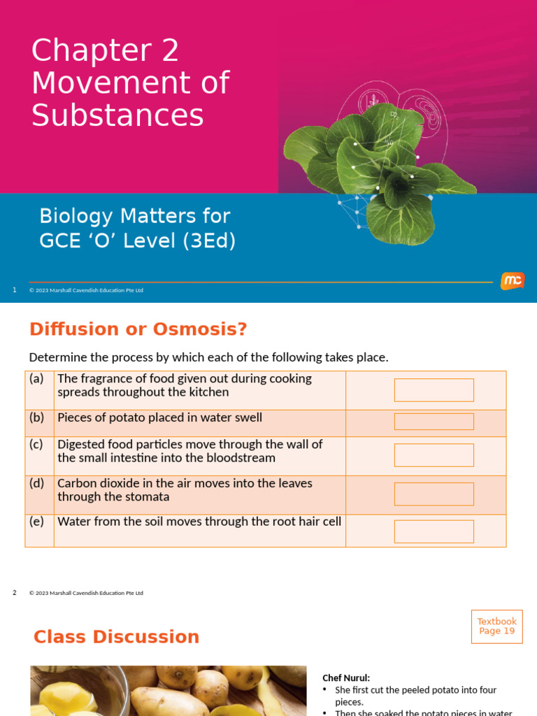 Movement Across Membrane - PPT Slides - C02 | PDF | Osmosis | Diffusion