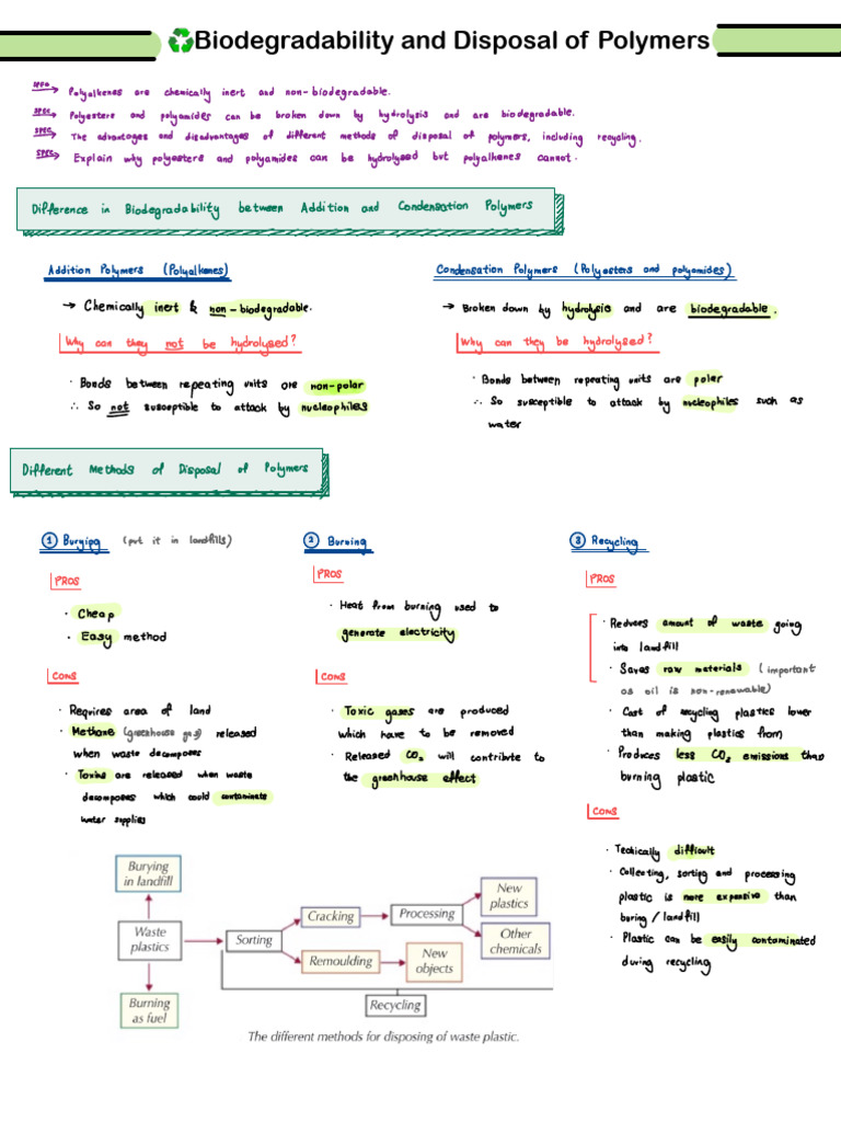 Biodegradability and Disposal of Polymers - FactRecall | PDF ...