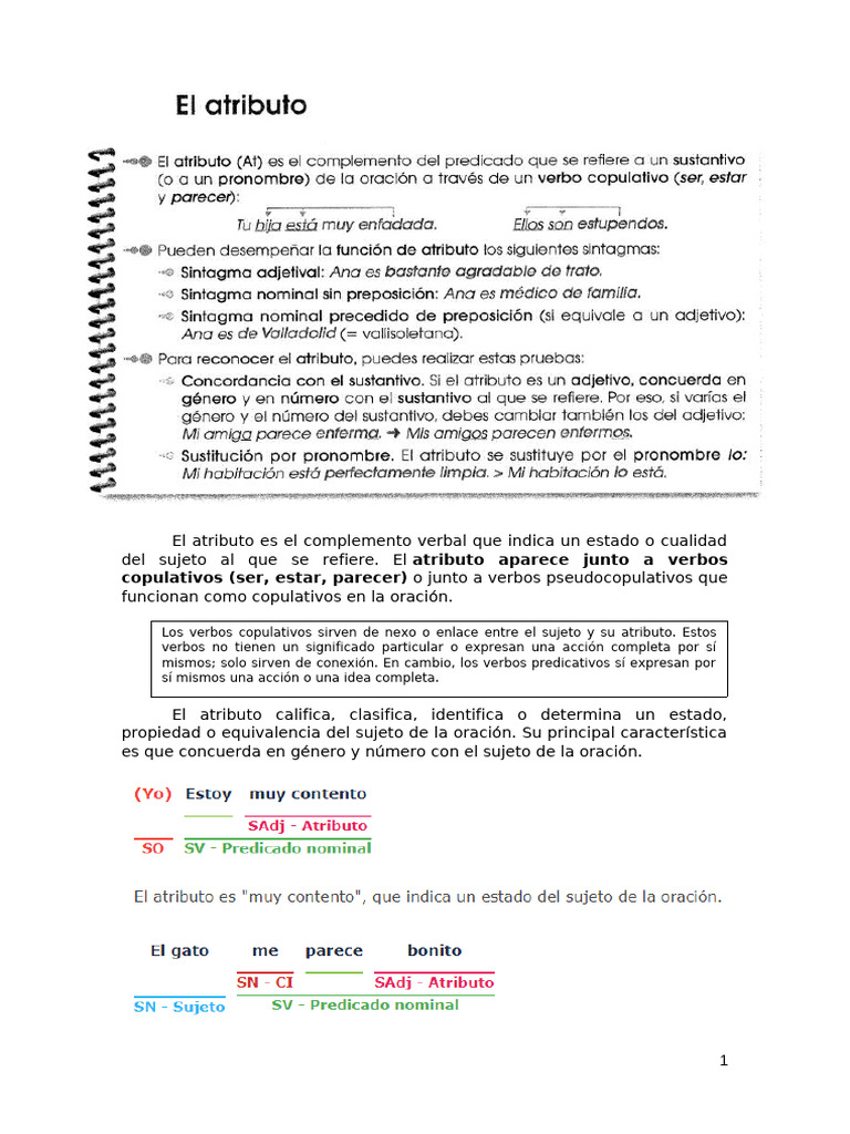 El Atributo | PDF | Verbo | Asunto (gramática)