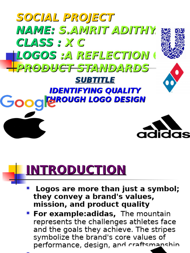 Social Project | PDF